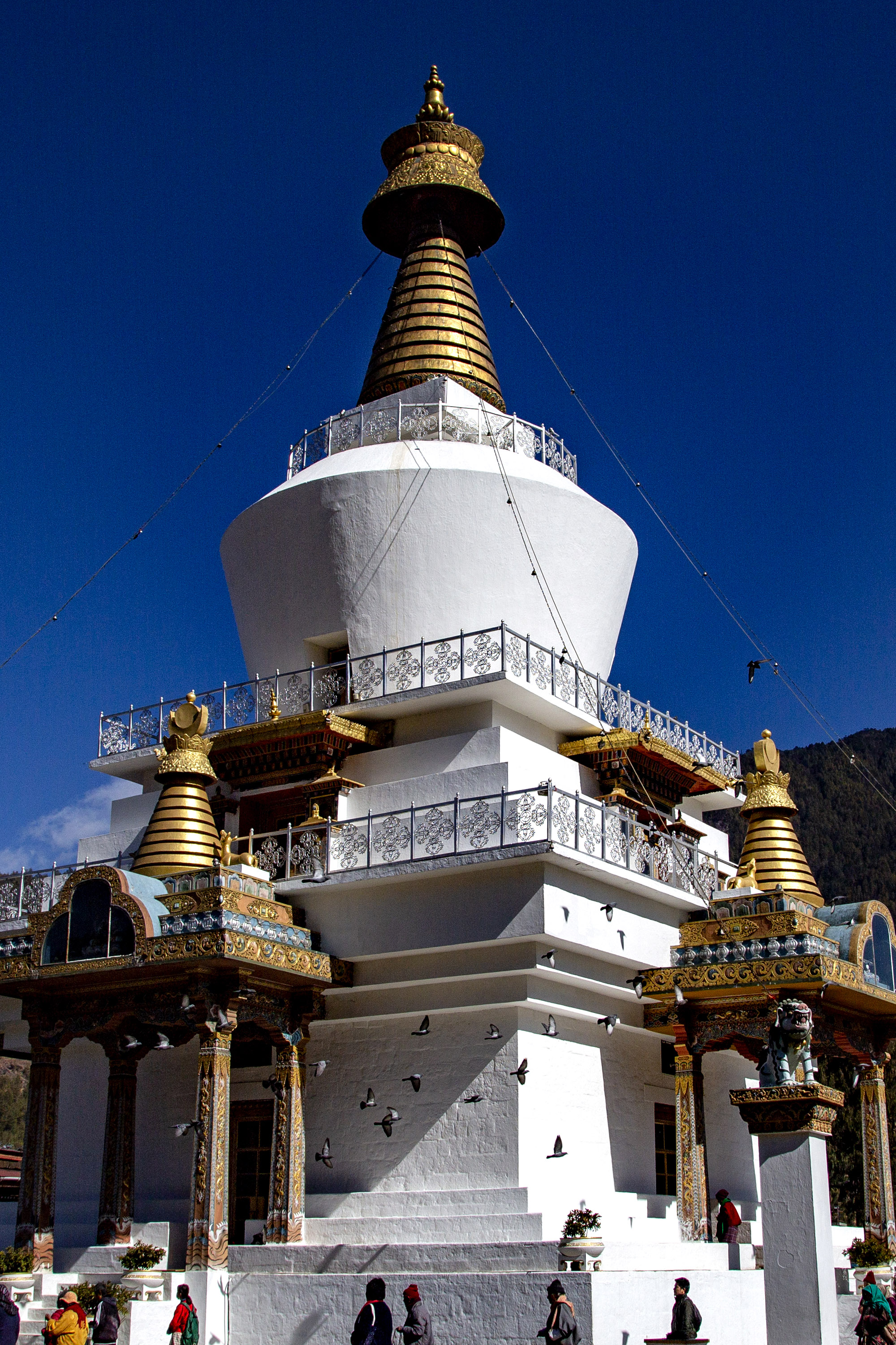 Home | Dharma Adventures